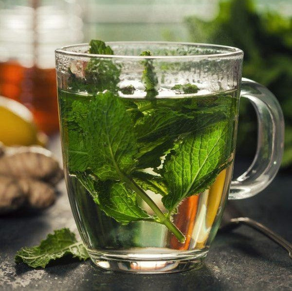 PEPPERMINT TEA AND ITS IMPACT ON OUR HEALTH - Plentea Tea Bar