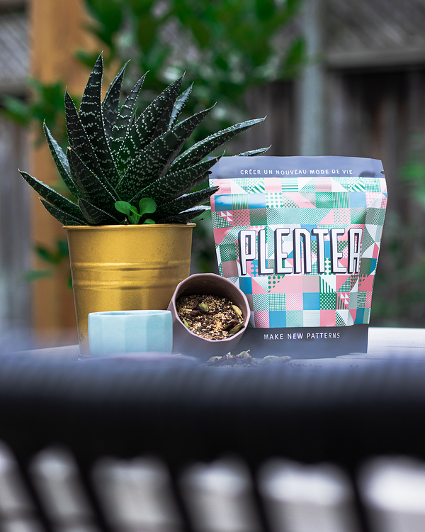 PLENTEA TEA BAR TORONTO MONTREAL -TISANE - Plentea Tea Bar